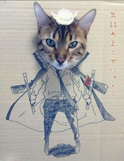 Cat Sticks His Face Through Cardboard, and It’s Art