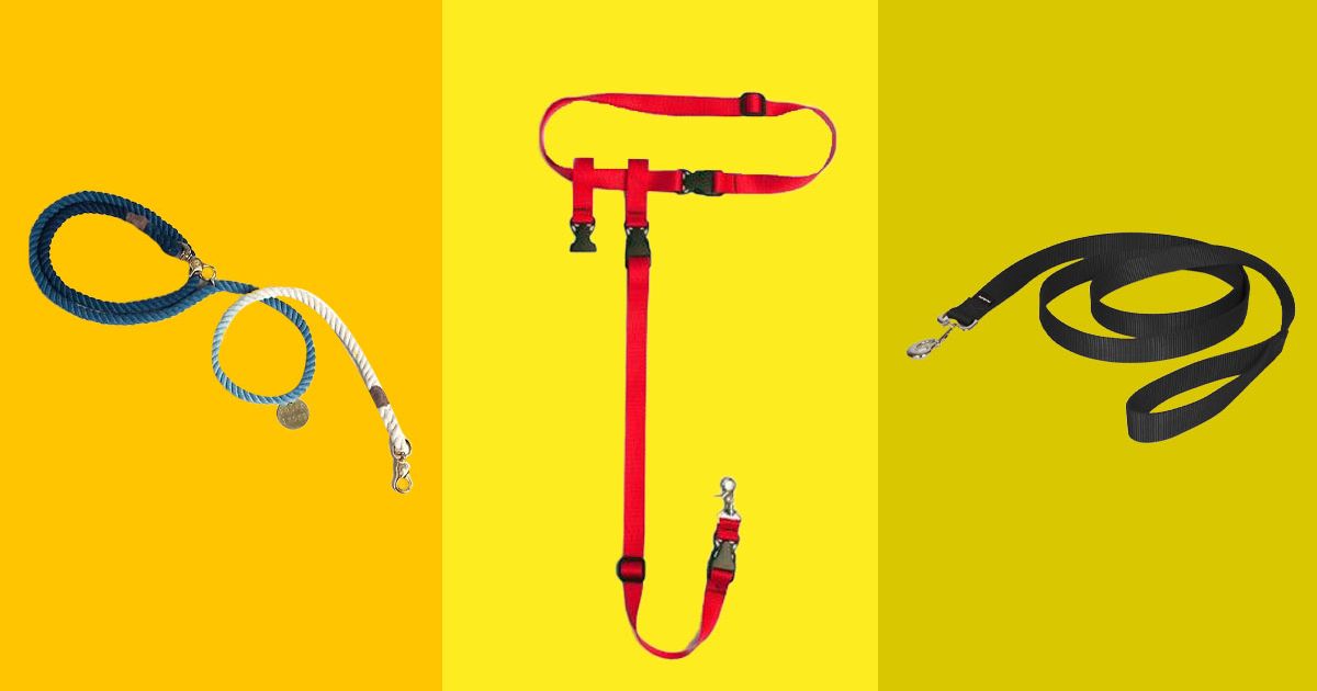 13 Best Dog Leashes 2024 | The Strategist