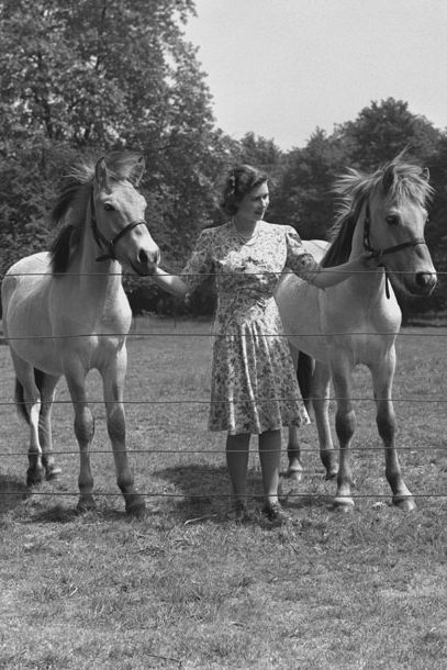See Queen Elizabeth With Corgis, a Panda, Elephants, and Other Animals