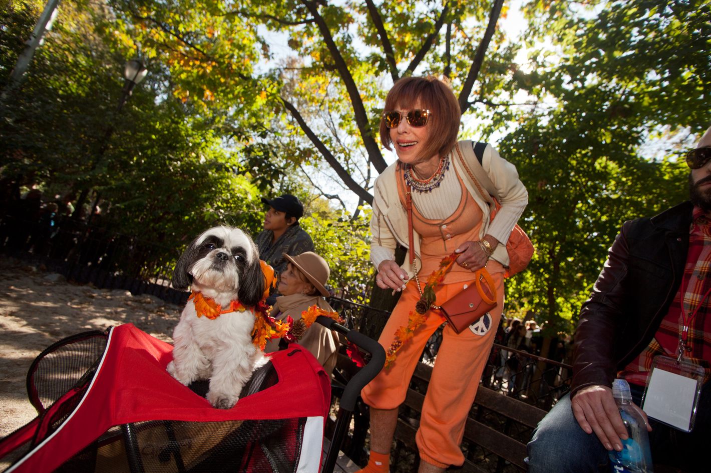 Here Are the Best Costumes From This Year’s Halloween Dog Parade