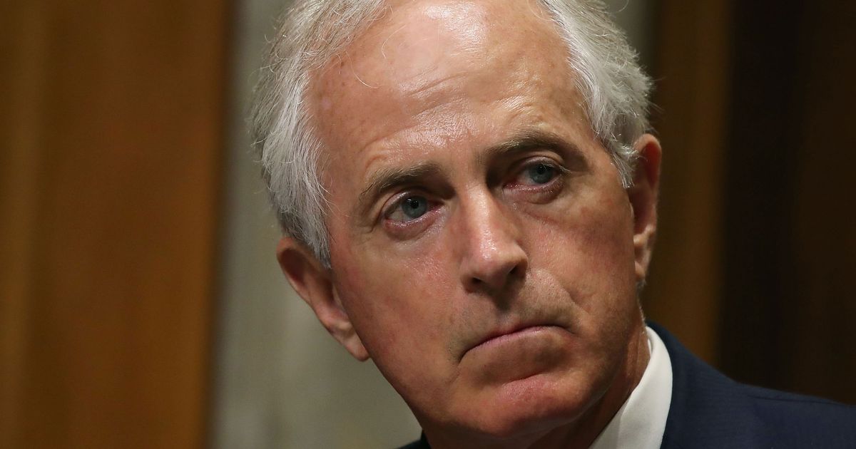 GOP Senator: Rex Helps ‘Separate Our Country From Chaos’