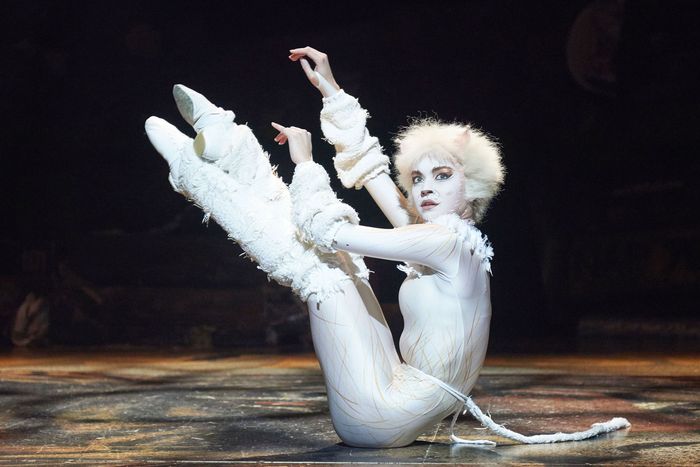 Which Cat Is the Hottest Cat From Cats? A Helpful Guide.