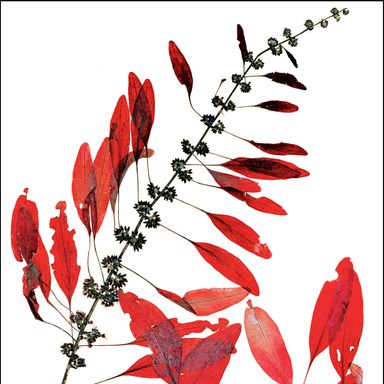 Instagram & Florals: Photos From Nick Knight’s New London Exhibit