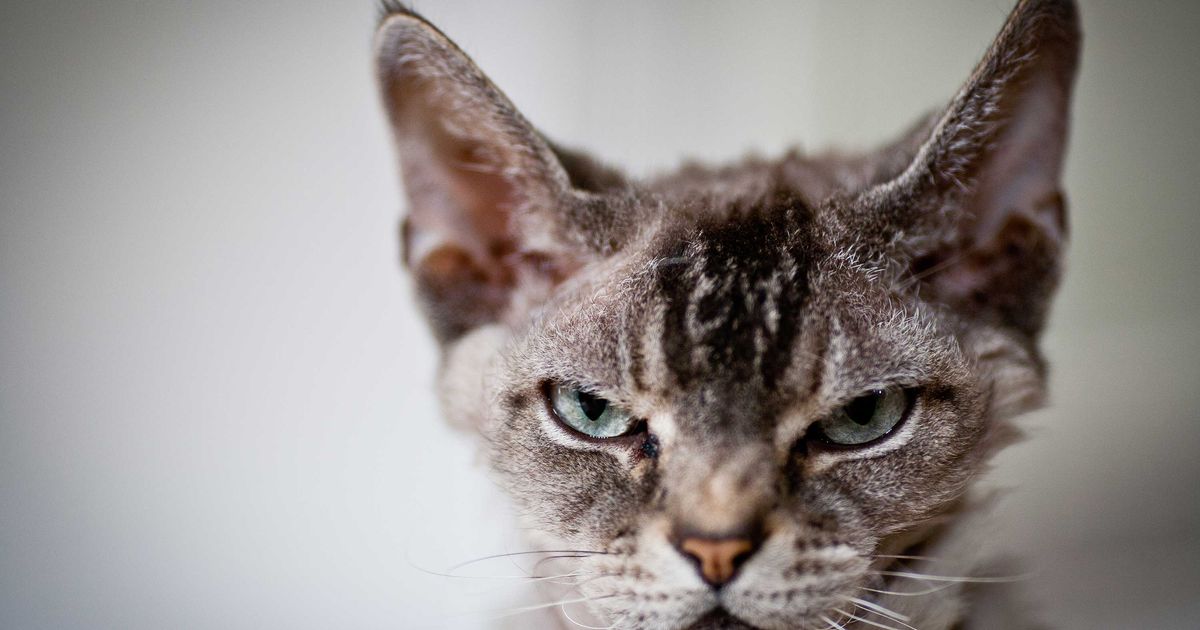 The Chinese Word for Anger Shows the Best Way to Get Mad -- Science of Us