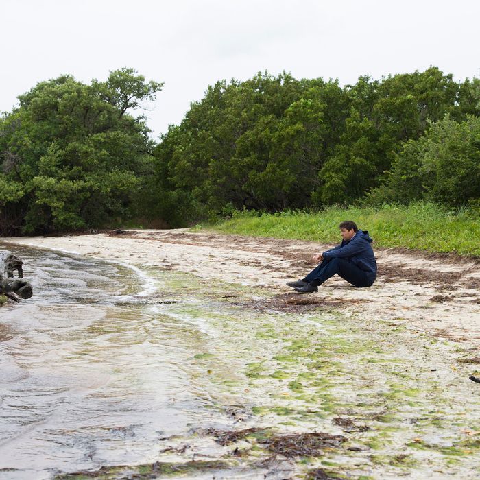 Bloodline Recap: Clarity