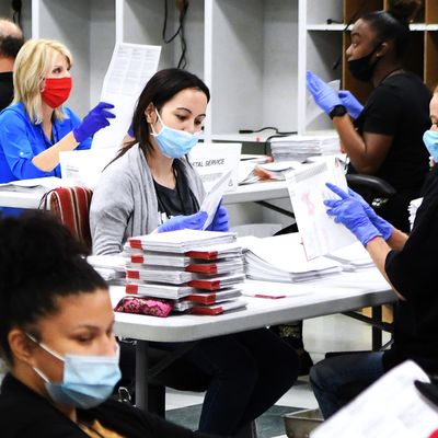 The Swing State Experts to Follow on Election Night