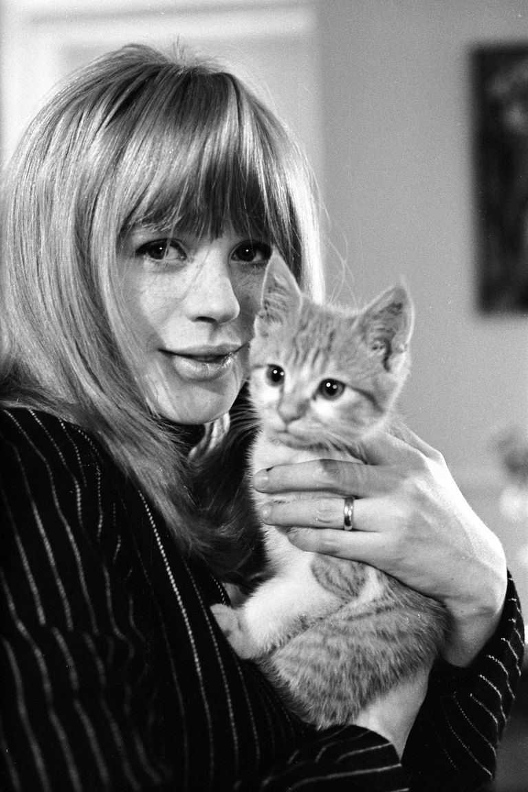 The 50 Most Fabulous (and Famous) Cat Ladies of All Time