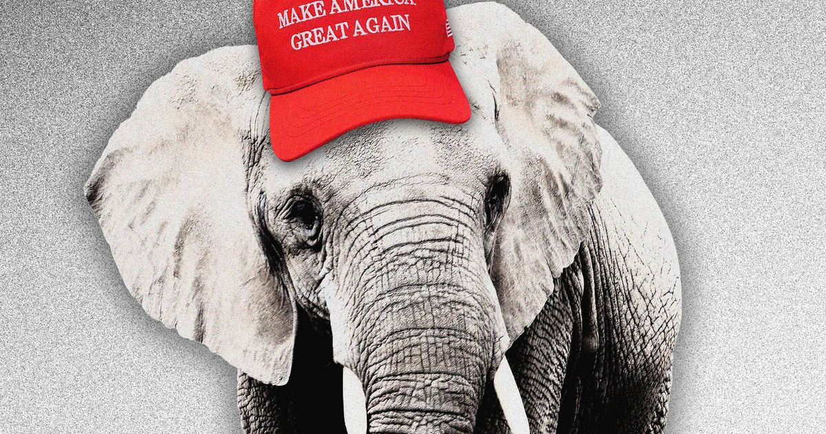 Why the Left and Right Can’t Stop Using the Term ‘MAGA’