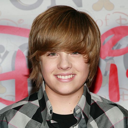 Get Lost in David Hockney’s Poppy Landscape Paintings - Slideshow - Vulture