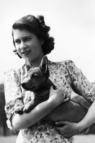 See Queen Elizabeth With Corgis, a Panda, Elephants, and Other Animals