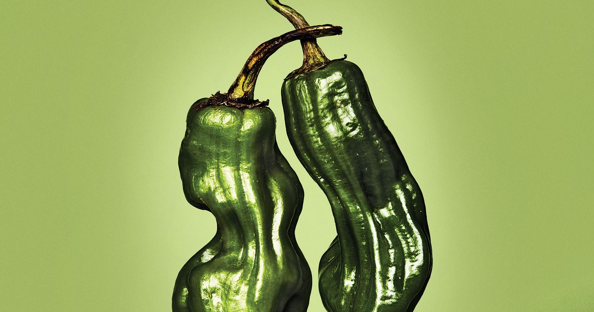 How the Shishito Conquered New York