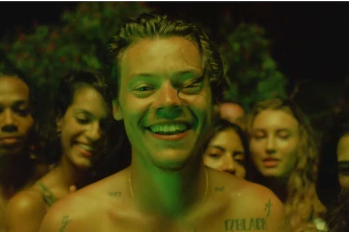 Harry Styles’s Lights Up Is a Shroom Odyssey
