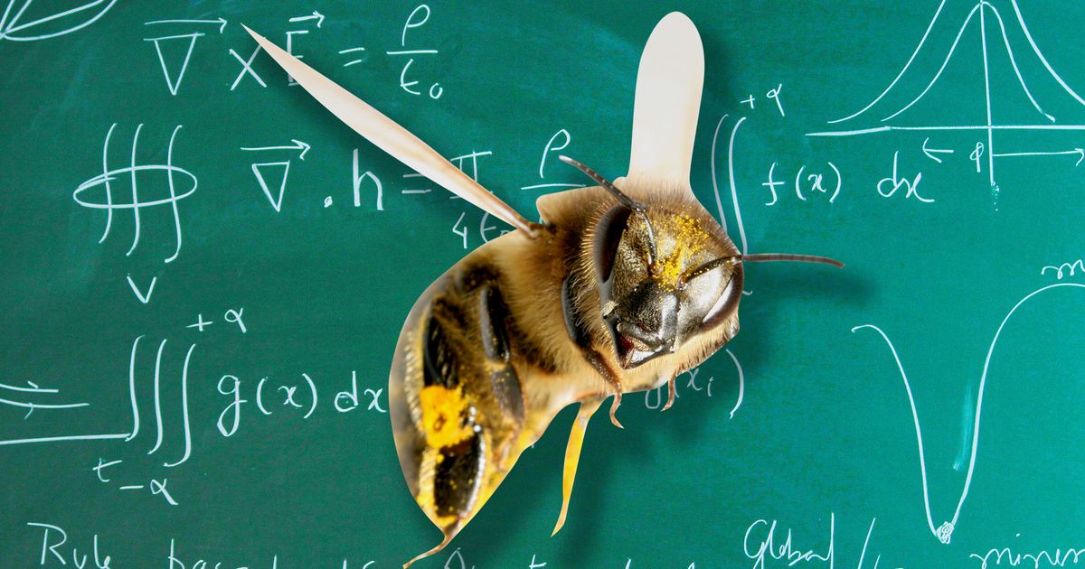 Honeybees Can Be Trained to Do Basic Math, Study Finds