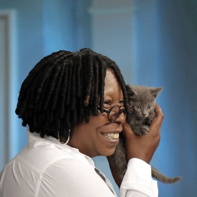 The 50 Most Fabulous (and Famous) Cat Ladies of All Time