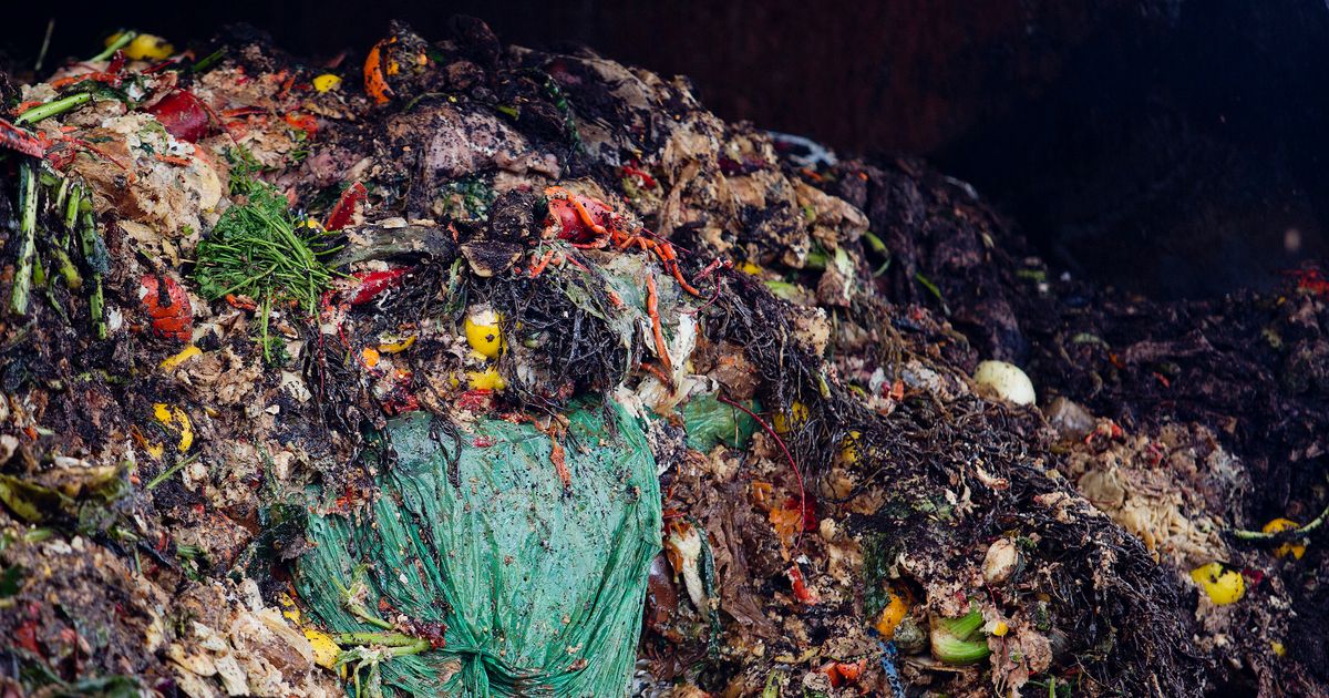 A Revolutionary Food-Waste Recycling Plant Is Opening in Long Island
