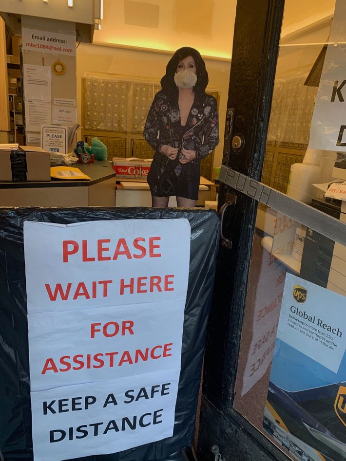 Scenes From Your Pandemic