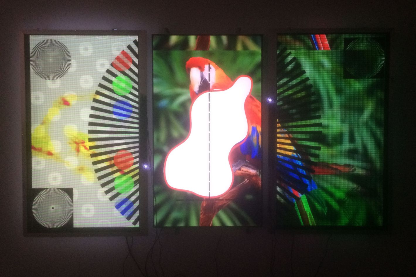 Can Digital Artist Tabor Robak Become Pixelangelo?