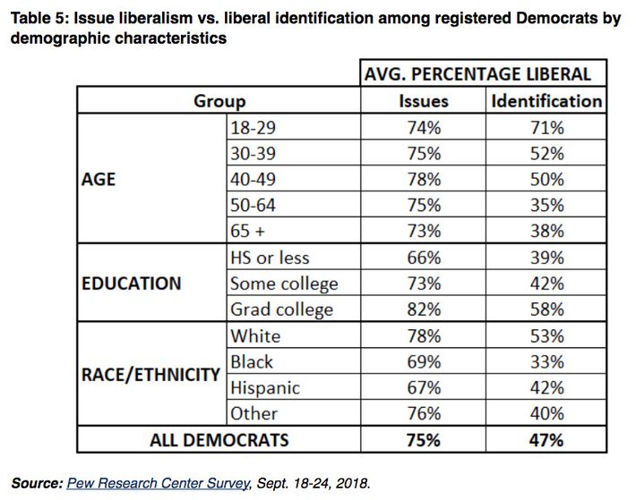 Democrats Disagree About Labels, Not So Much About Issues