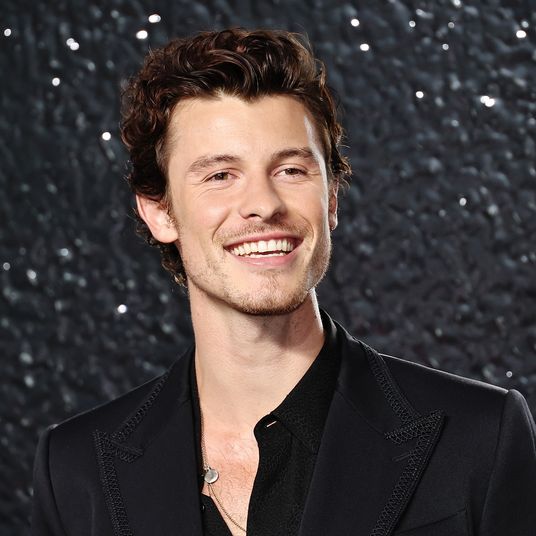 Shawn Mendes Previews Folky New Album, ‘Shawn’