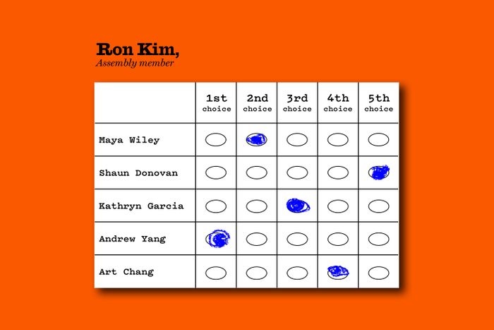 New Yorkers Share Their Ranked-Choice-Voting Strategies