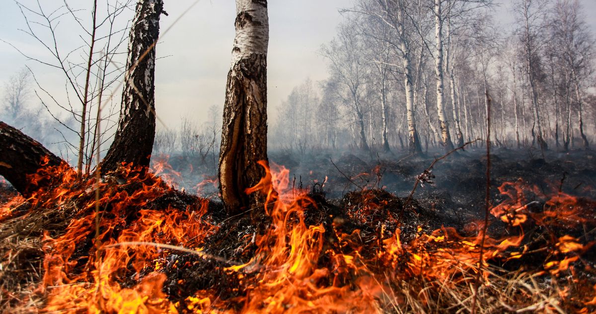 The Arctic Is On Fire, and We Should all Be Terrified