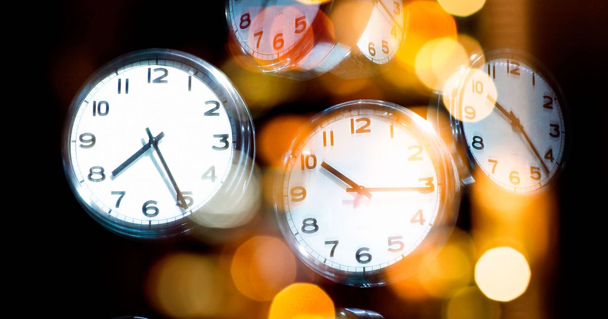 The Human Brain Is a Time Machine -- Science of Us