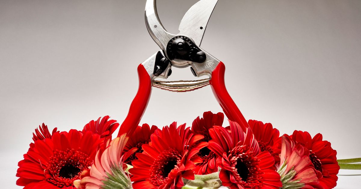 11 Best Garden Shears, Loppers, and Pruners | The Strategist