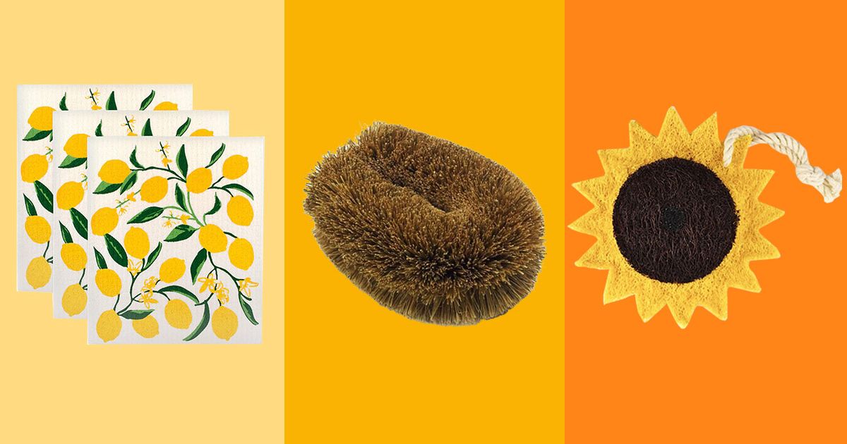 12 Best Eco-Friendly Alternative to Sponges 2021 | The Strategist