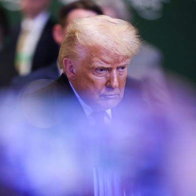 All the Trump Allies Turning Against His ICE Tactics