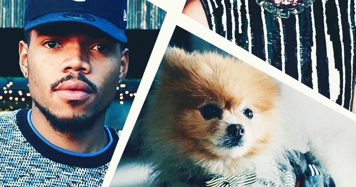 Chance the Rapper and a Bunch of Dogs Partied This Week