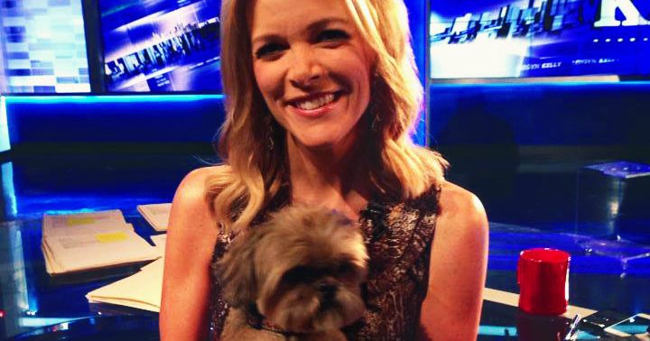 Megyn Kelly Accidentally Forgot Her Dog in a Stranger’s Home