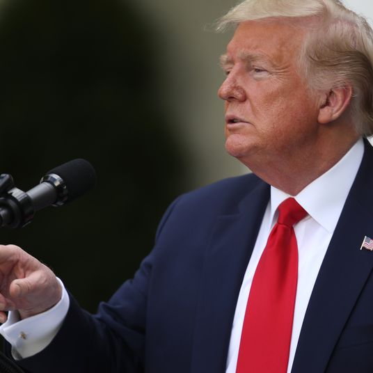 Roll Safe, the Guy-Tapping-Head Meme, Explained