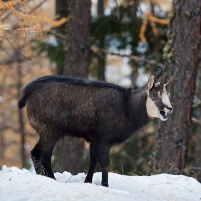 The Sounds Of Horror - Vulture