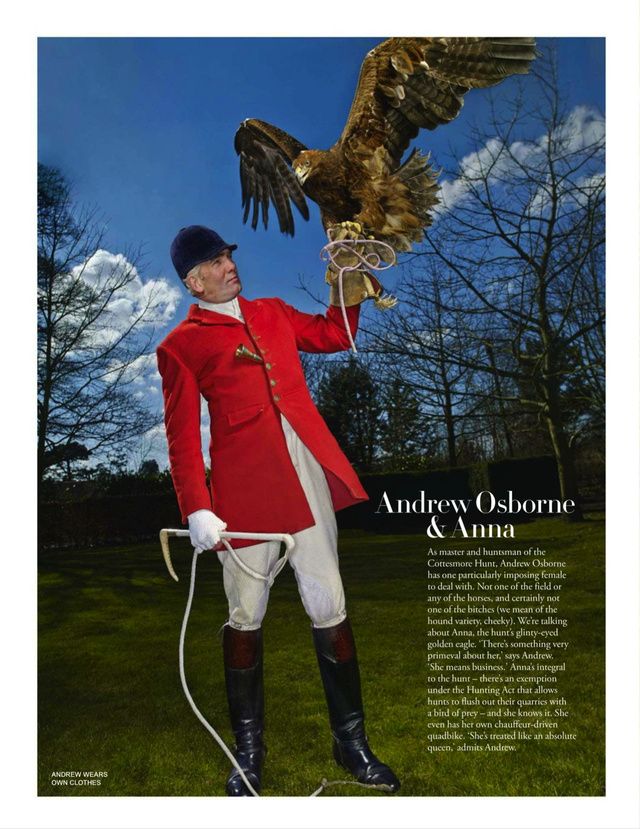 Field Guide to Birds: The New Status Pet