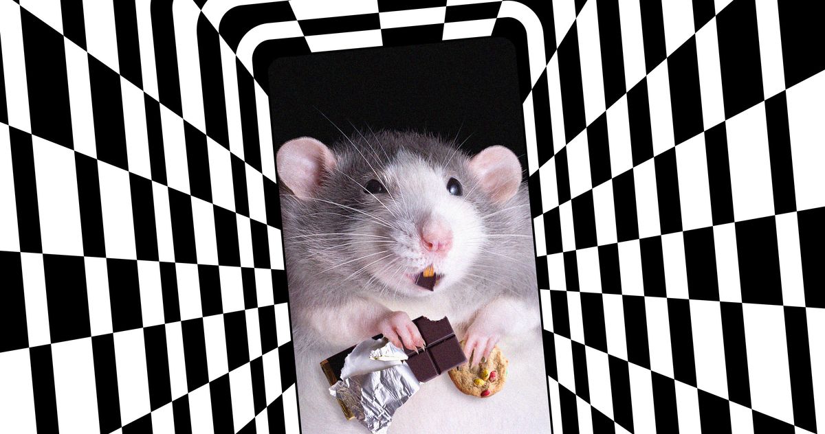 What Is a ‘Rat Snack,’ TikTok’s Latest Food Trend?