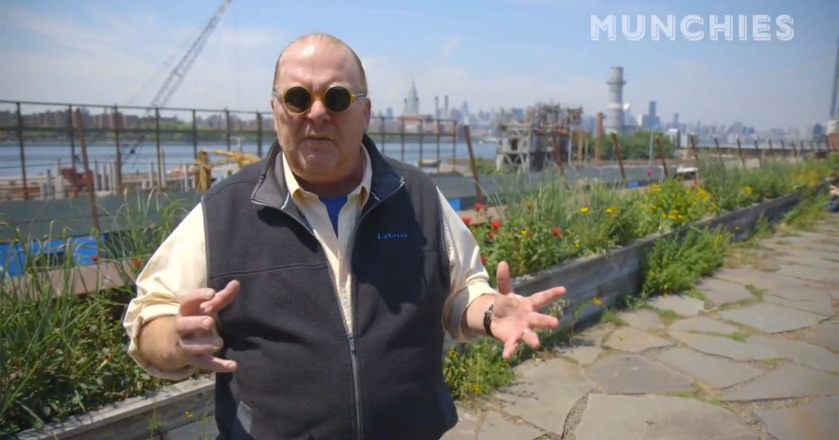 Vice Introduces New Mario Batali Cooking Show Moltissimo