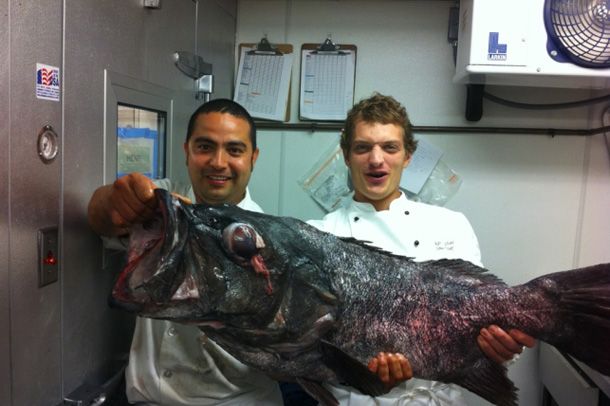 Dirk Flanigan's Cellphone Pics: Go Inside The Life of The Gage/Henri's Chef