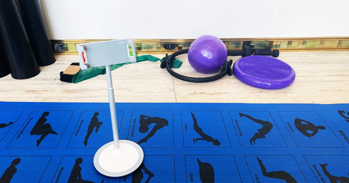 SAIJI Adjustable Tablet Stand Holder Review 2020 | The Strategist