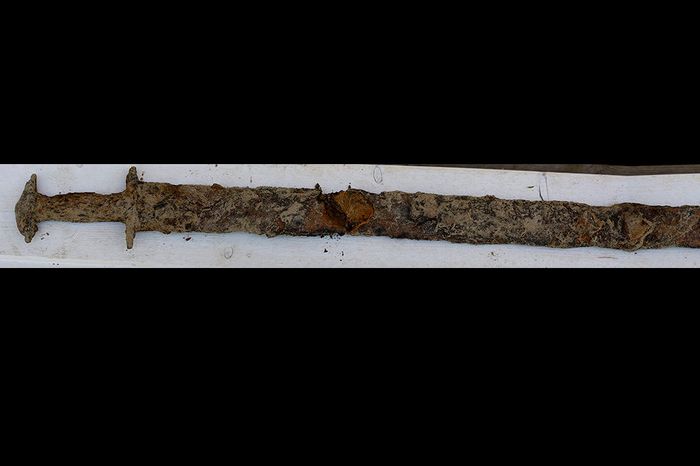 Eight-Year-Old Girl Finds Ancient Viking Sword in Lake