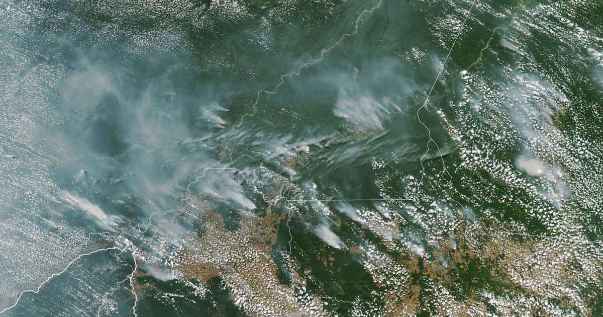 Why Is The Amazon Rainforest on Fire?