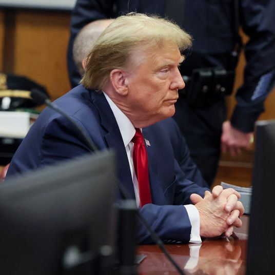 Trump Has Met His Match in Queens Judge Arthur Engoron