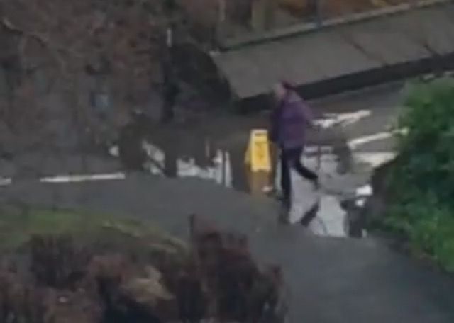 More Than 20,000 People Are Watching This Livestream of a Mildly ...