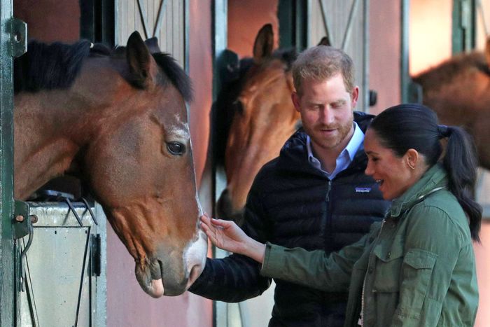 Meghan Markle and Prince Harry Visit Horses In Morocco