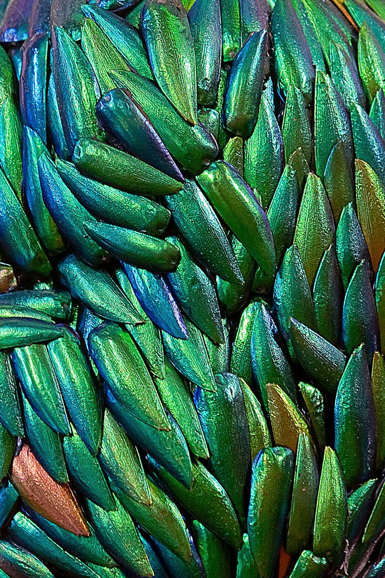 Beautiful Things in Emerald, the Color for Now
