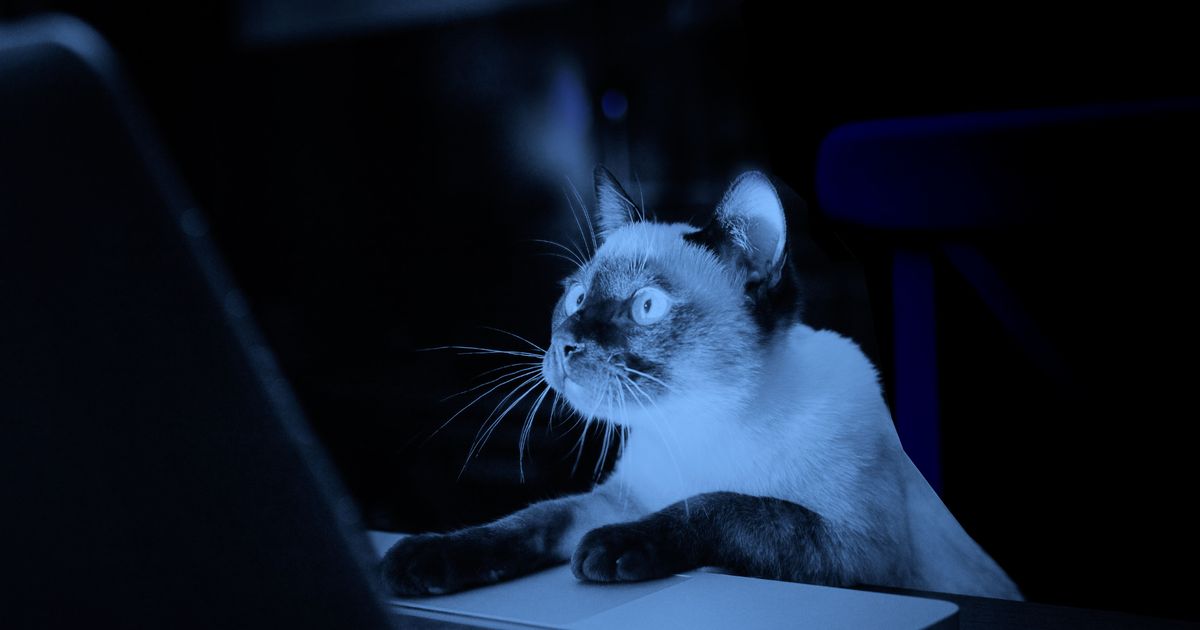 You’ll Be Less Stressed If You Check Your Email Less Frequently