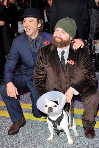 Robert Downey Jr.: 30 Years of Red-Carpet Looks - Slideshow - Vulture