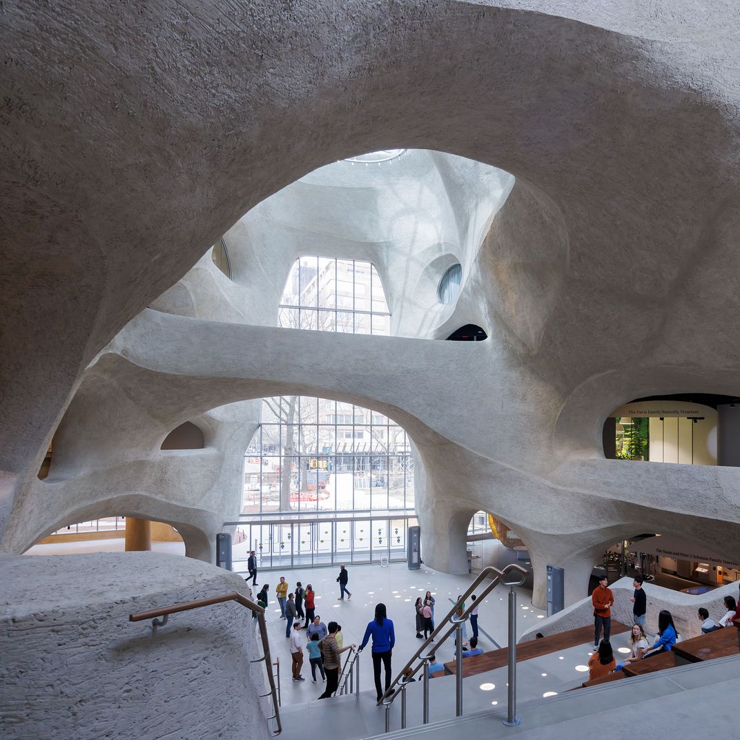 Architecture Review: The AMNH’s Gilder Center