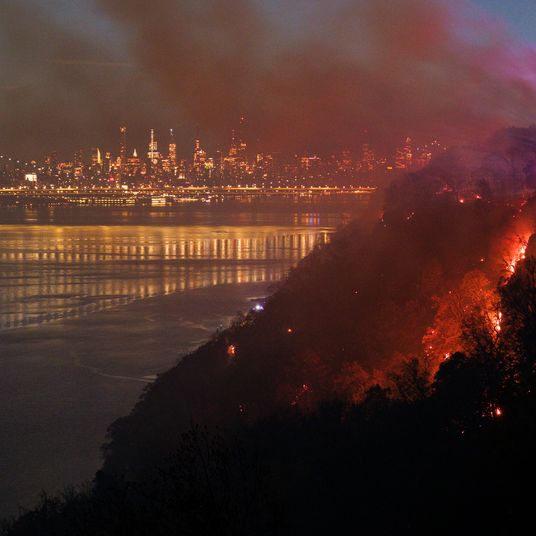 Dept of Culture Brooklyn Dinner at MoMA PS1: Photos