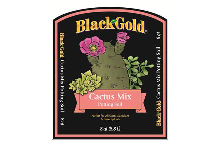 Best Cactus Accessories and Tools to Keep Plant Alive 2017 | The Strategist