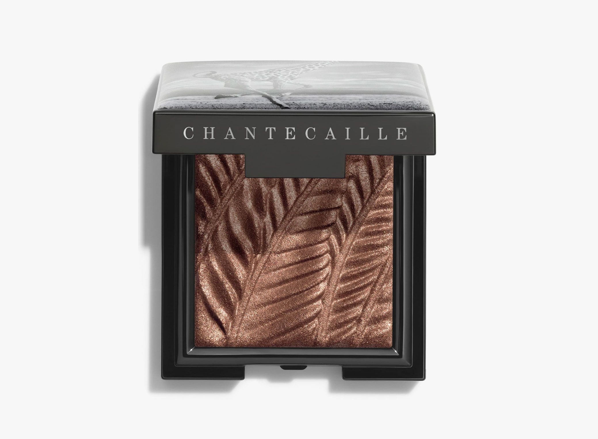 This Chantecaille Eye Shadow Was Made to Save Giraffes